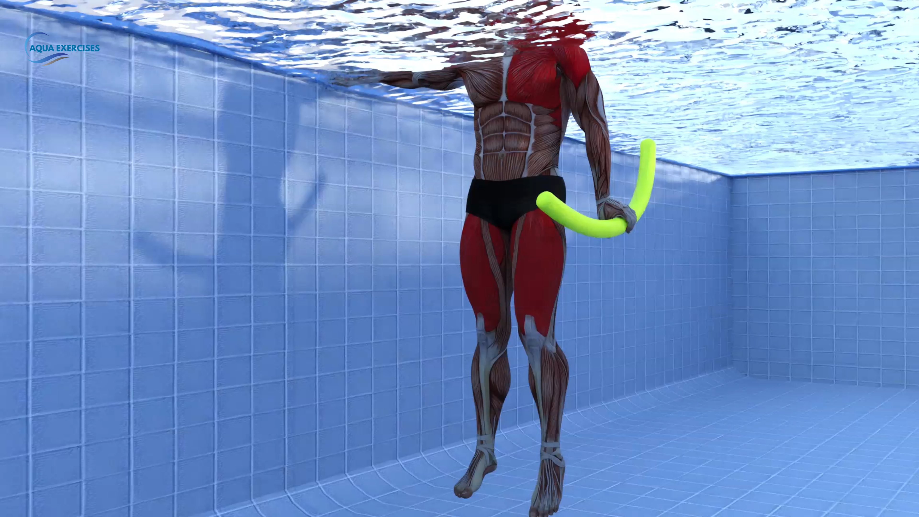 Edge Control Aqua Exercises: 4 Moves to Boost Upper Body & Core Strength