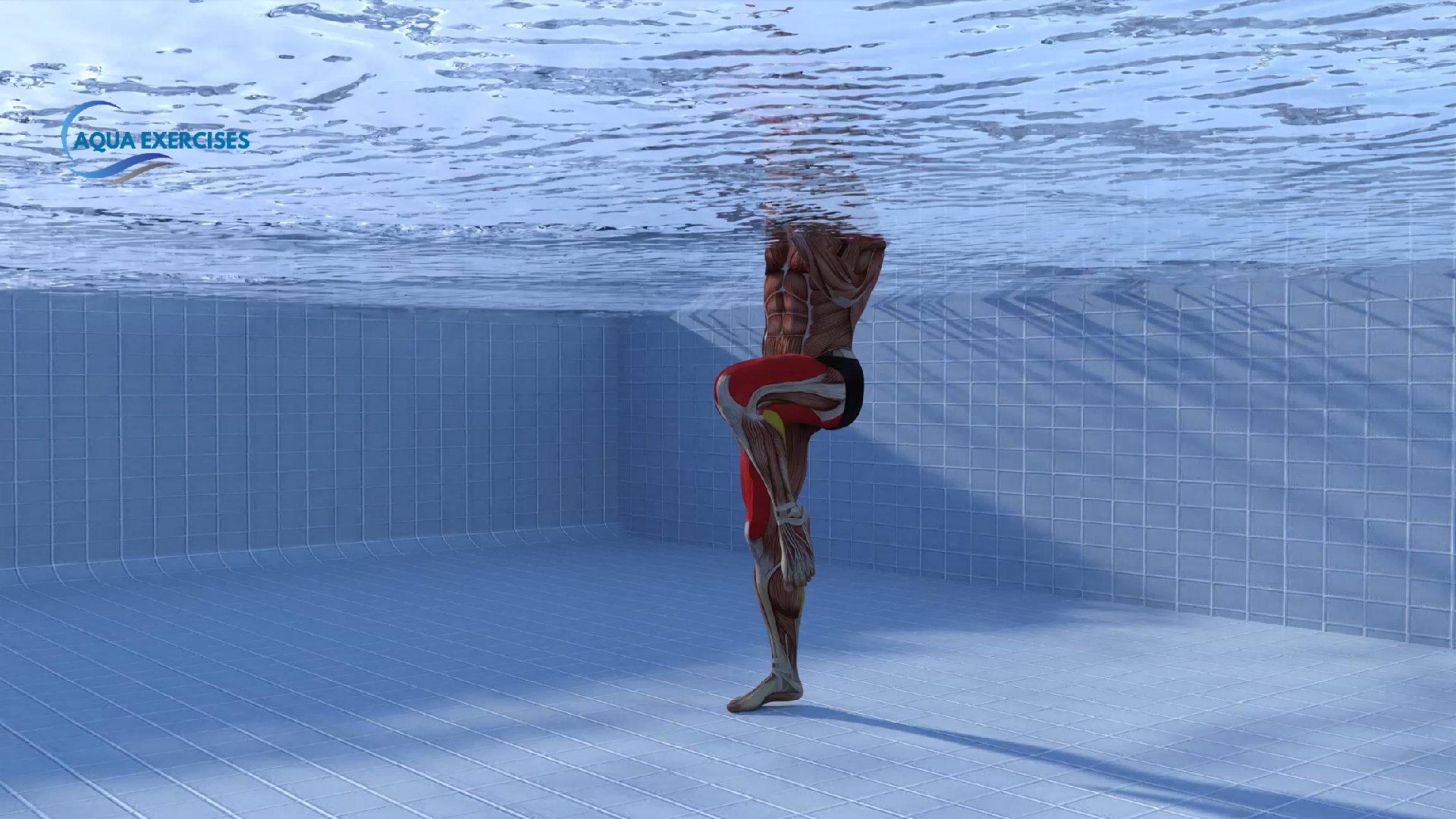 Standing Mountain Climbers in the Pool